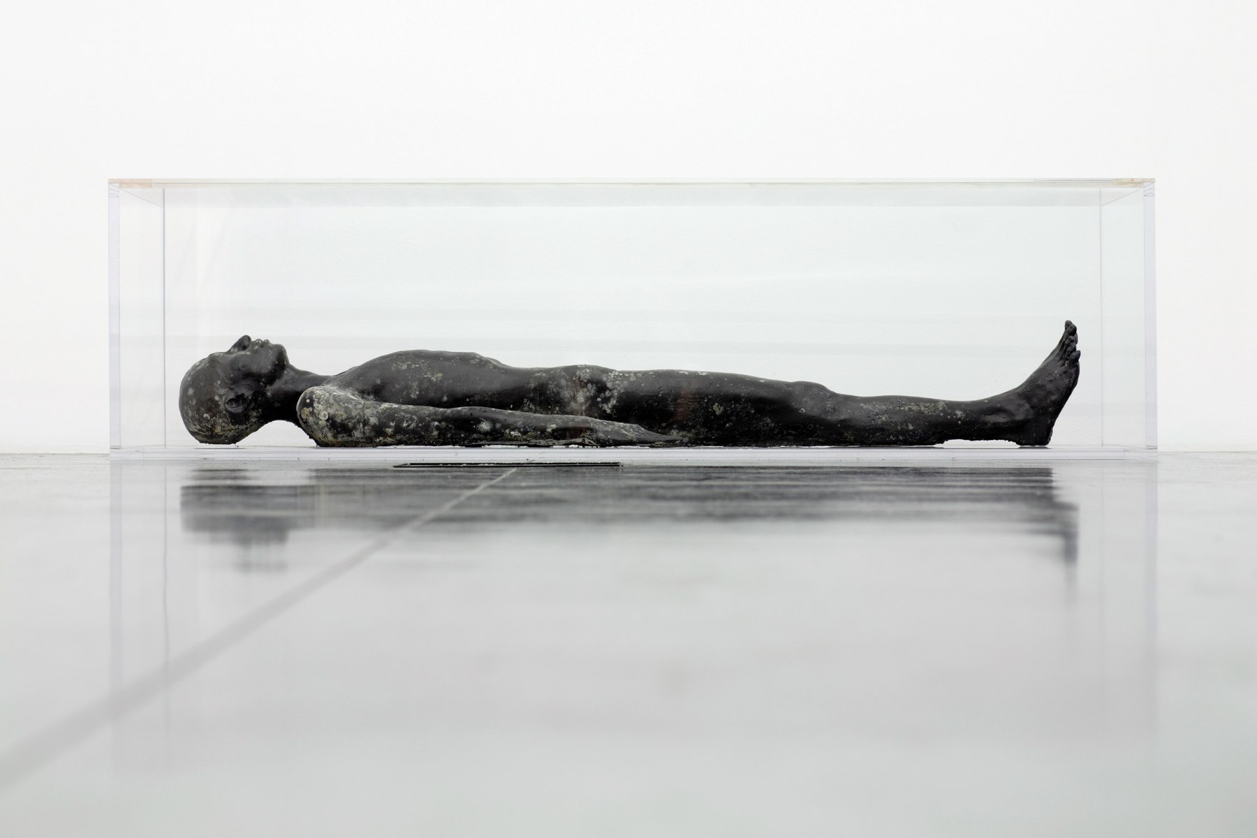 Terence Koh | asianpunkboy | Contemporary multimedia artist